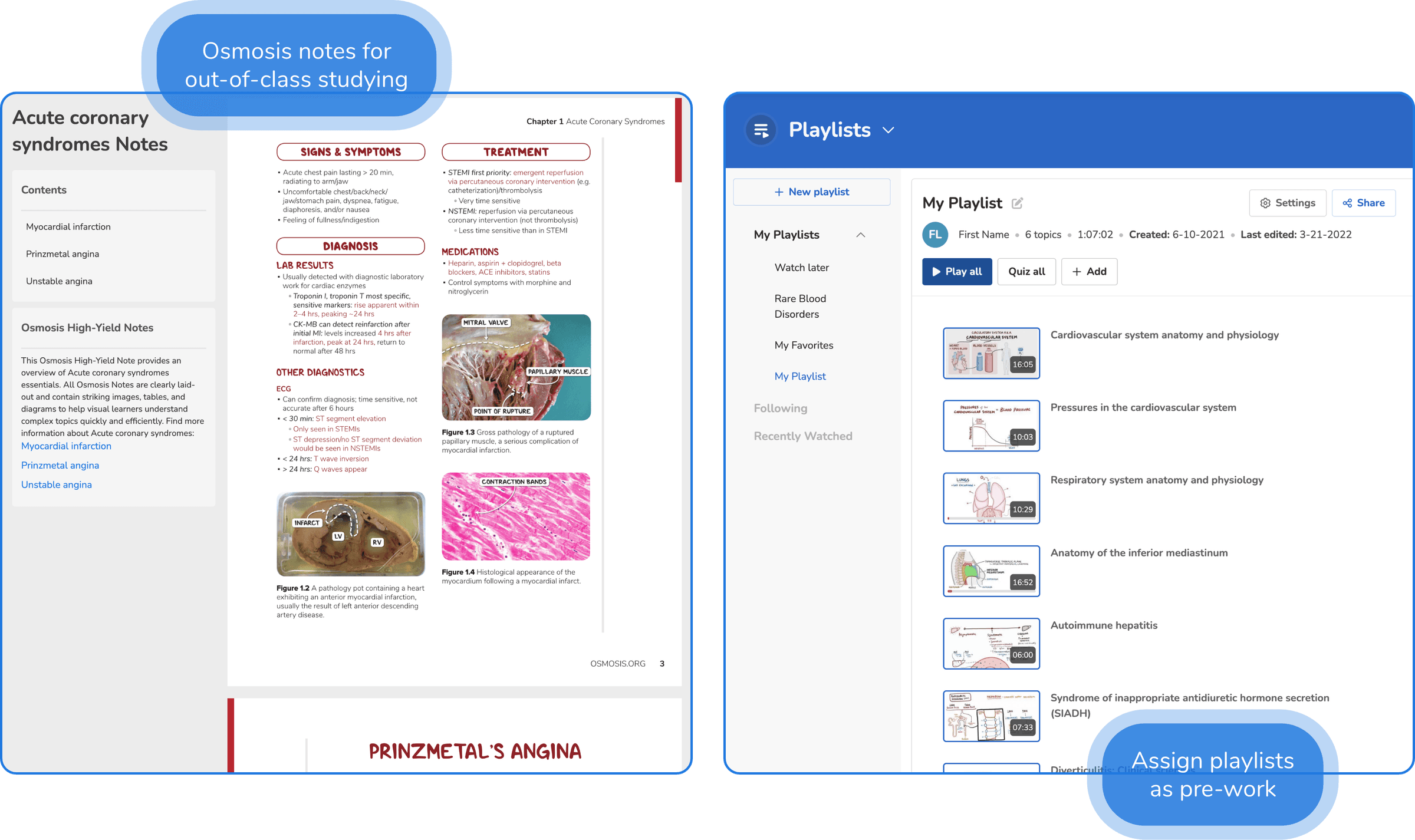 Dental Illustrated Video Explainers For Teaching Dental Students | Osmosis