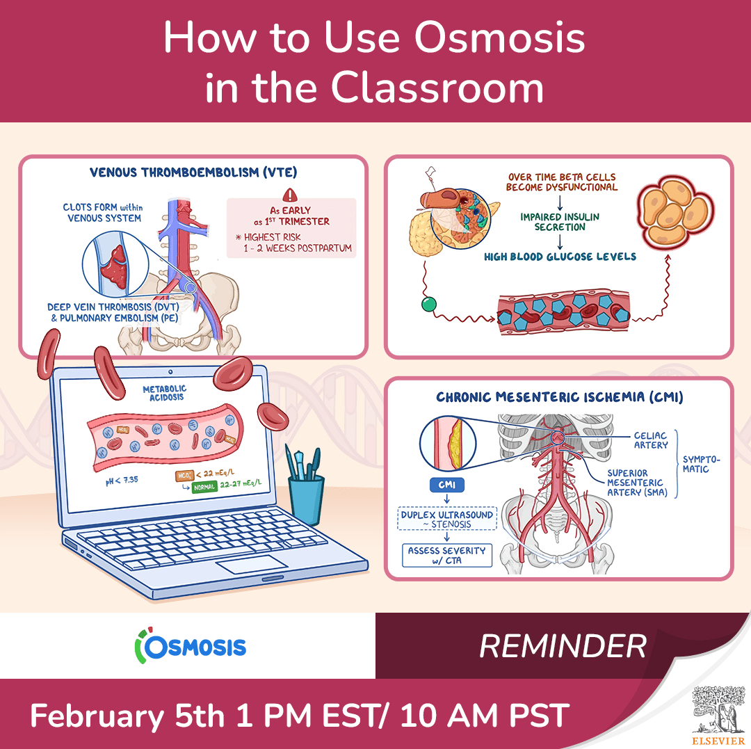 Illustrated Video Explainers For Teaching Students | Osmosis