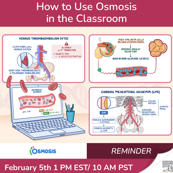 Illustrated Video Explainers For Teaching Students | Osmosis