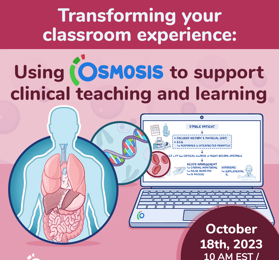 Illustrated Video Explainers For Teaching Students | Osmosis