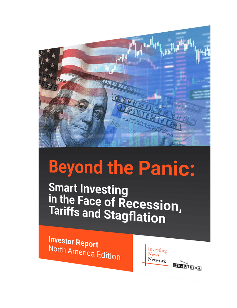 Beyond the Panic: Your Guide to Investing in the Face of Recession, Tarrifs and Stagflation - 2025