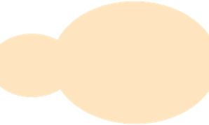 Kickstarter Masterclass by Launch Studio