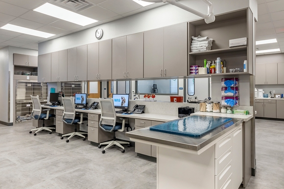 Meet Livewell | Animal Hospitals Helping to Shape the Future of ...