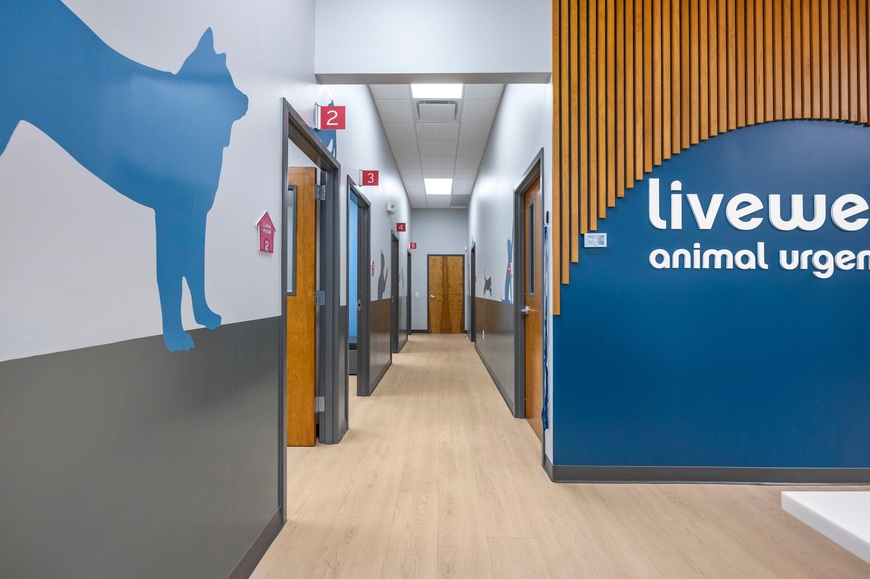 Meet Livewell | Animal Hospitals Helping to Shape the Future of ...