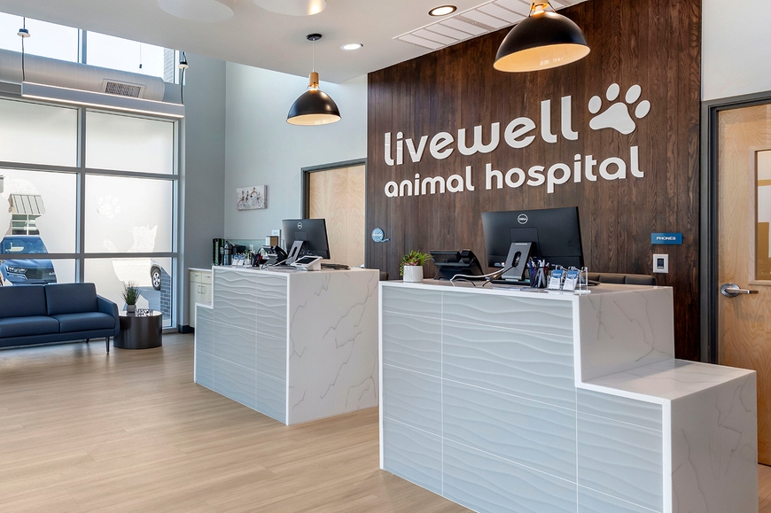 Meet Livewell | Animal Hospitals Helping to Shape the Future of ...