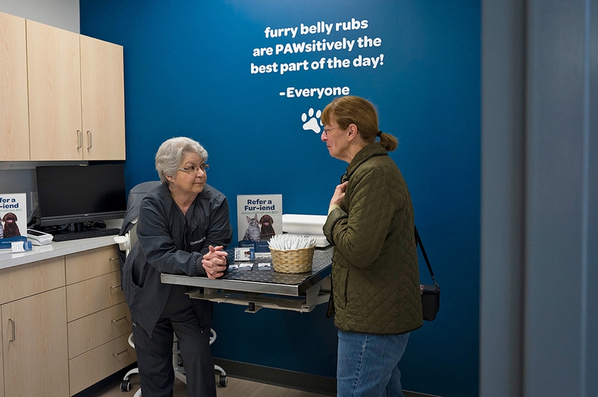 Meet Livewell | Animal Hospitals Helping to Shape the Future of ...