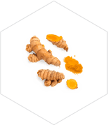 Turmeric Extract