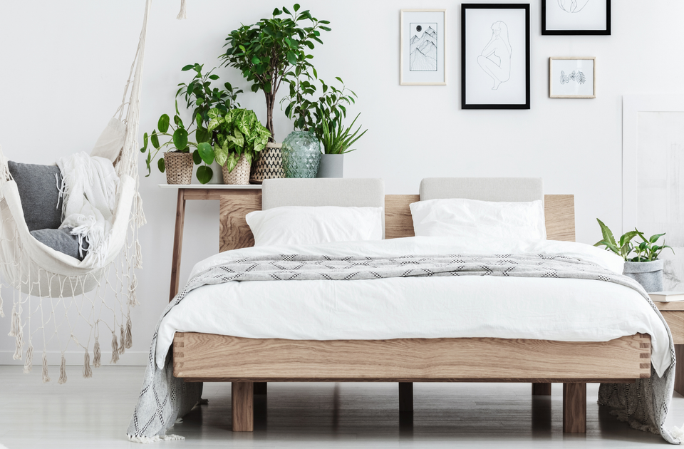 StayWell | Patient Accommodations