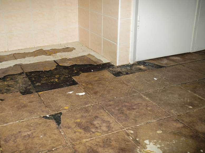 Tile and Grout Cleaning & Repair | The Grout Medic