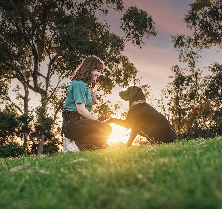 Unlock Unbeatable Perks with the Mad Paws Pass