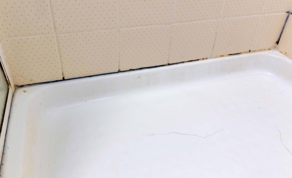 The Shower Doctor