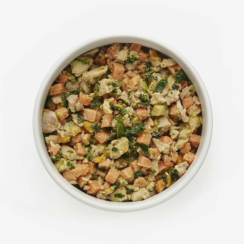 Real, good food for dogs