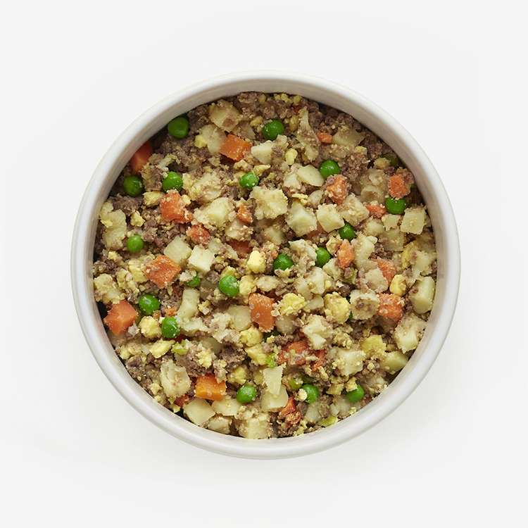 Real, good food for dogs