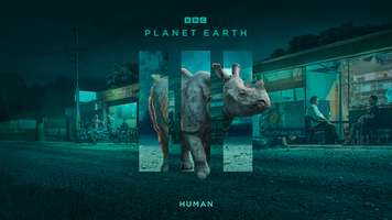 BBC Earth | Free Preview | Planet Earth III