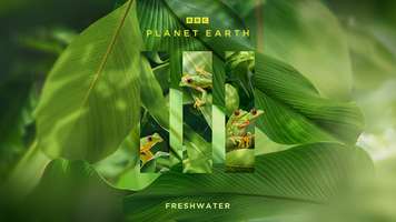 BBC Earth | Free Preview | Planet Earth III