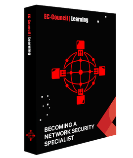 Become a Network Security Specialist