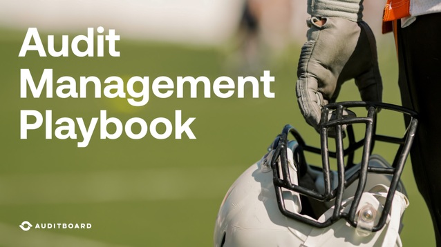The Audit Management Playbook: Updated for 2025