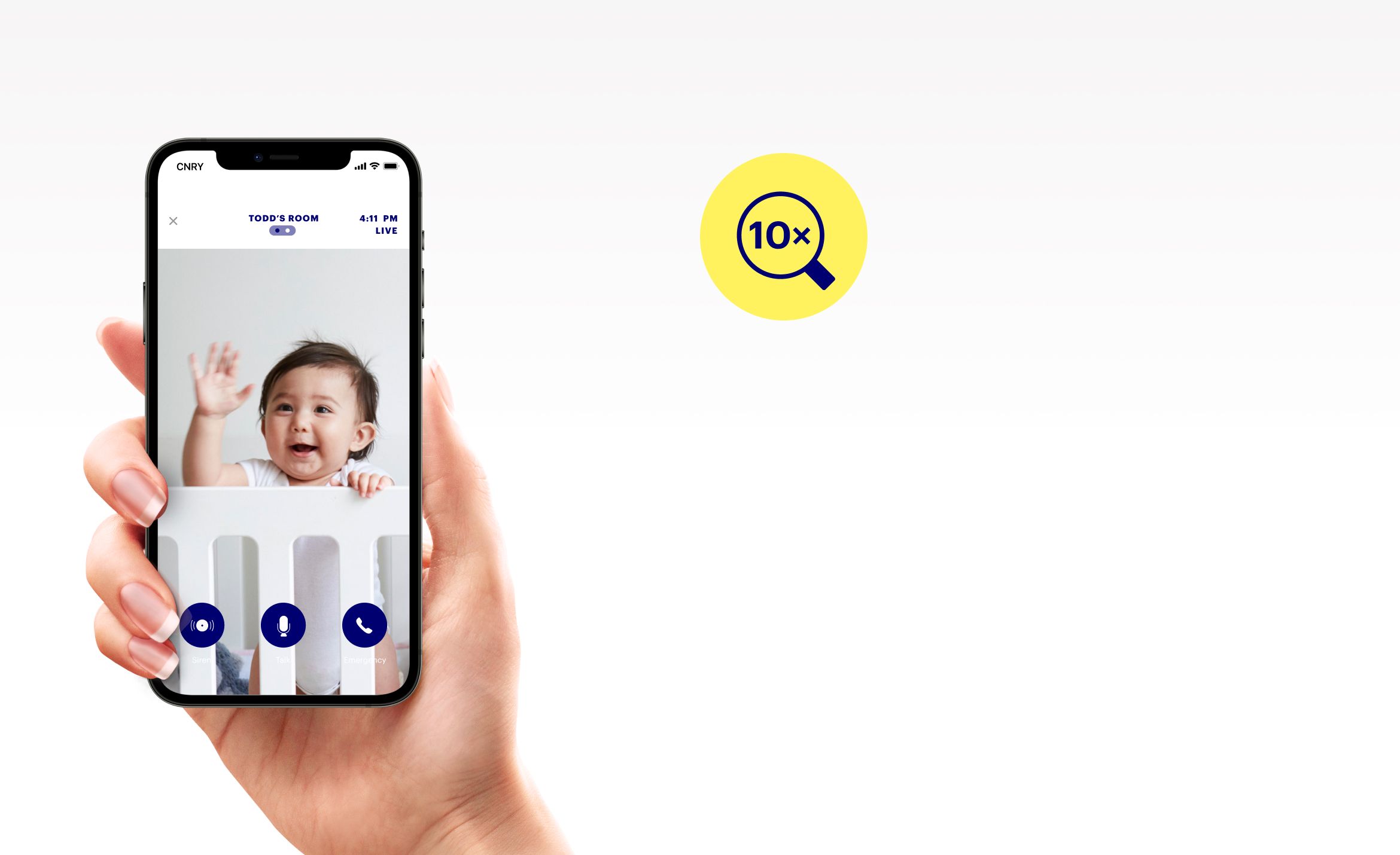 Buy Now Buy Now Buy Now