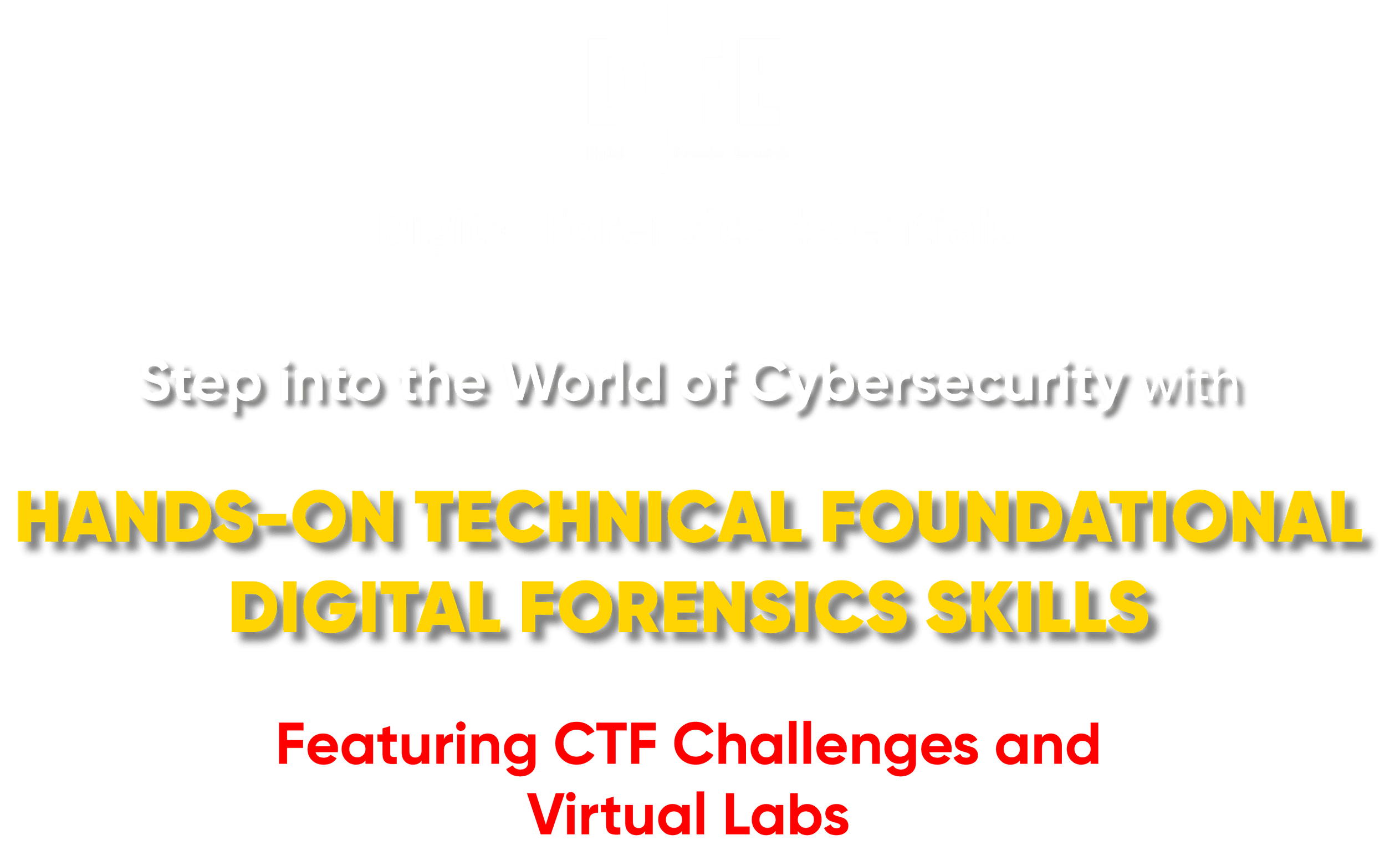 Digital Forensics Essentials Program