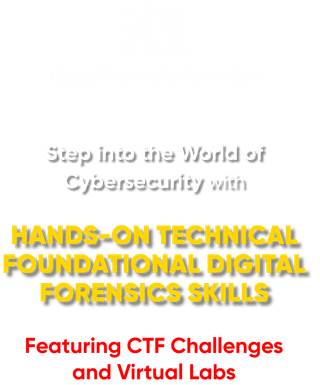 Digital Forensics Essentials Program