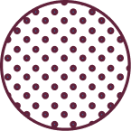 Data Science Online Bootcamp