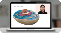 Vedantu One to One Live Private Tuition