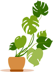 Learn from the Best Mentors