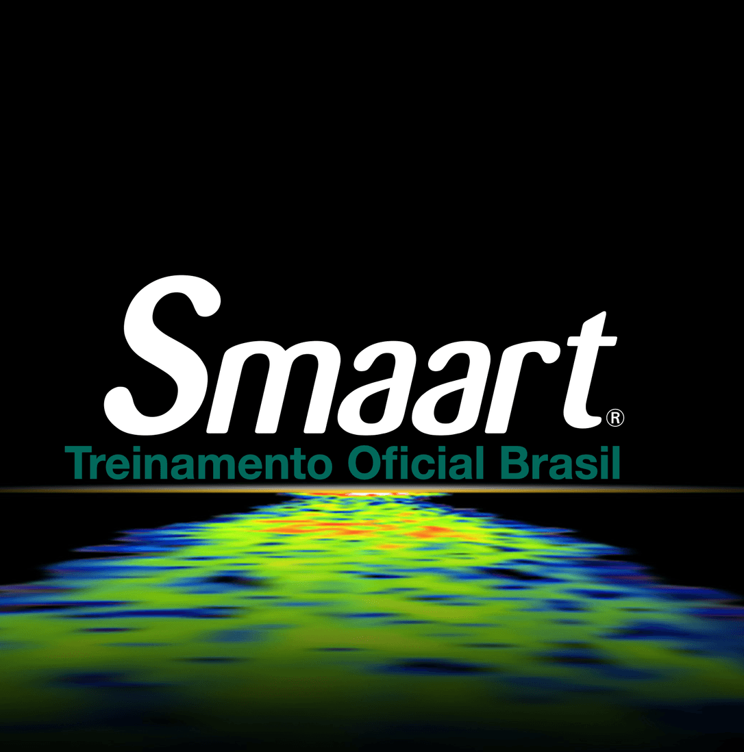 Treinamento Oficial Smaart - on-line