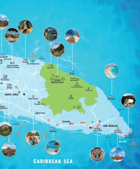 Bedsonline | Aruba Deals!