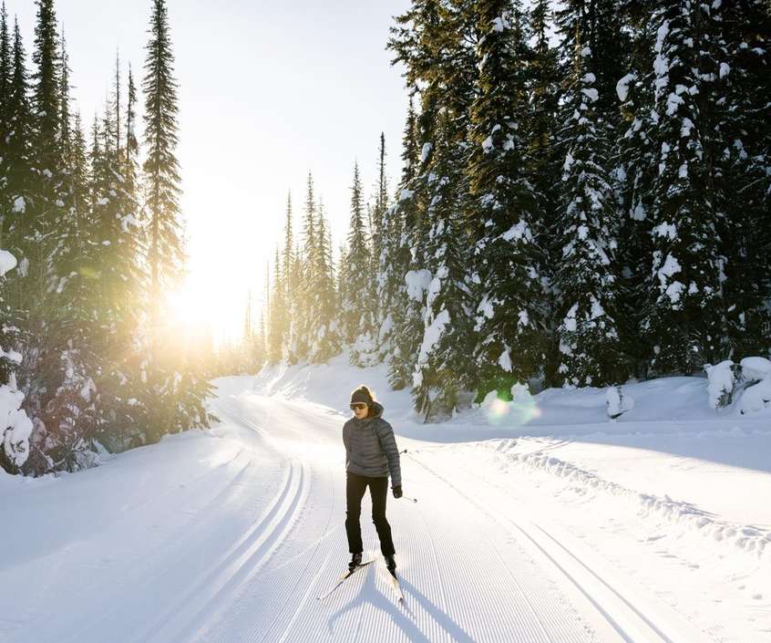 Silver Star Is Winter