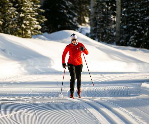 Silver Star Is Winter