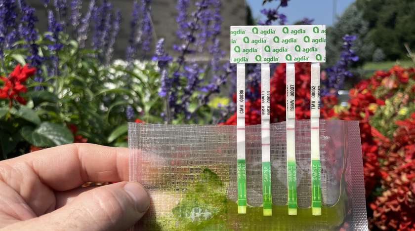 Agdia is your tried-and true testing company