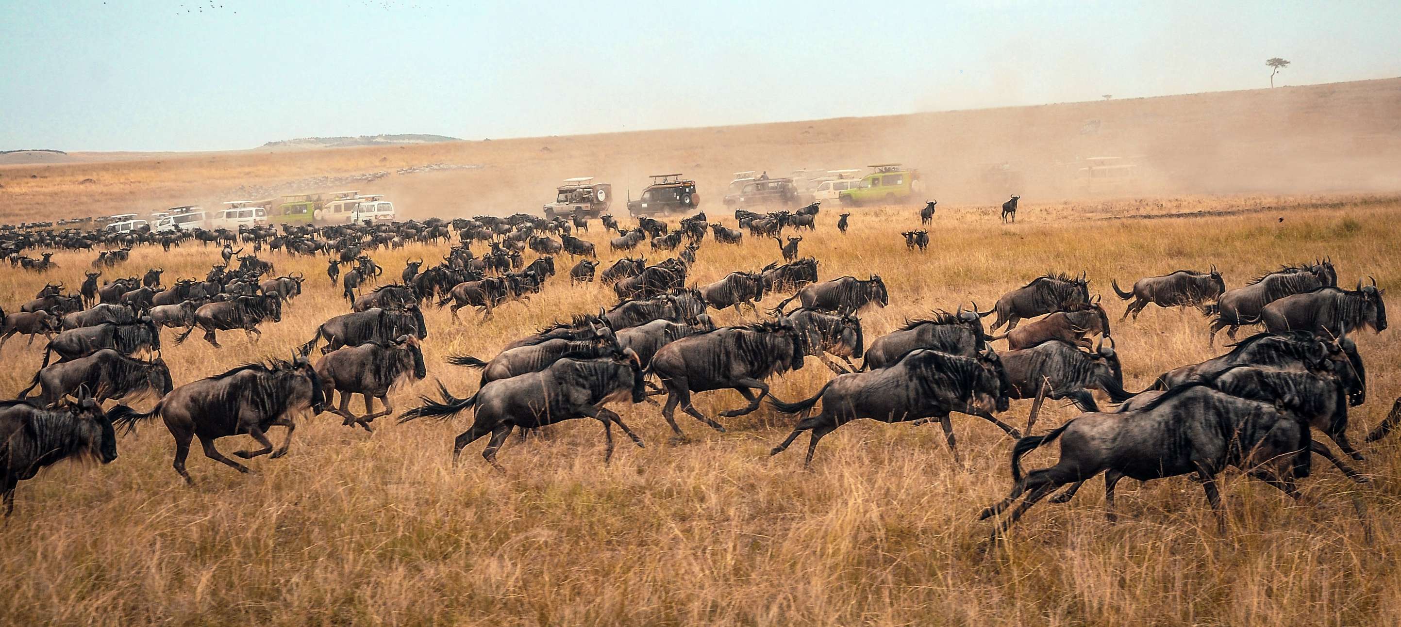 East Africa Safaris | Go2Africa