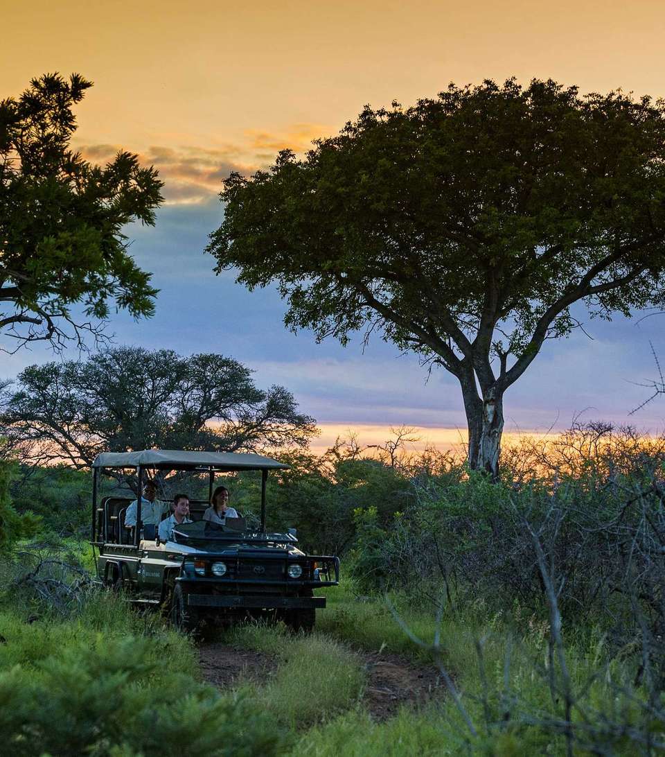 South Africa Safaris | Go2Africa