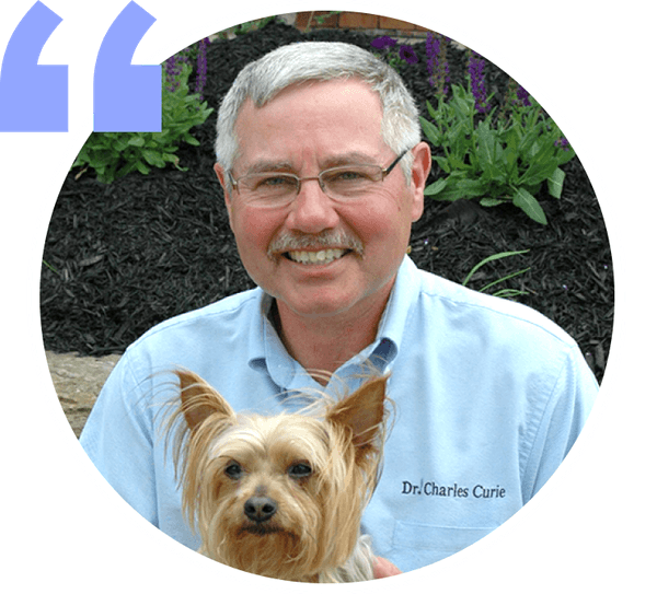 Pumpkin for Veterinarians: Healthier pets. Stronger practices.