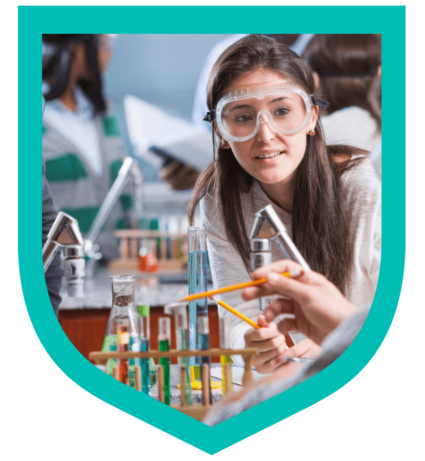 hear more from cambridge international as a level students