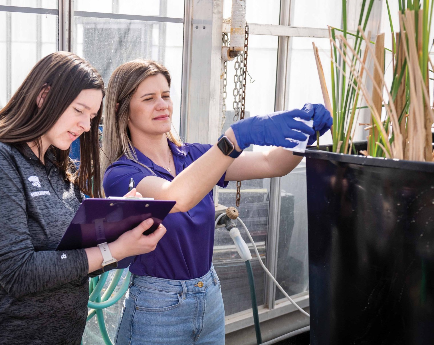 Kansas State University - Department of Biological & Agricultural ...