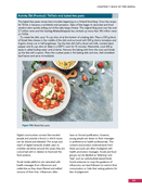 Food for VCE: Food Studies