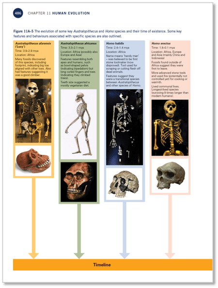 Get Psyched! Year 10 Psychology