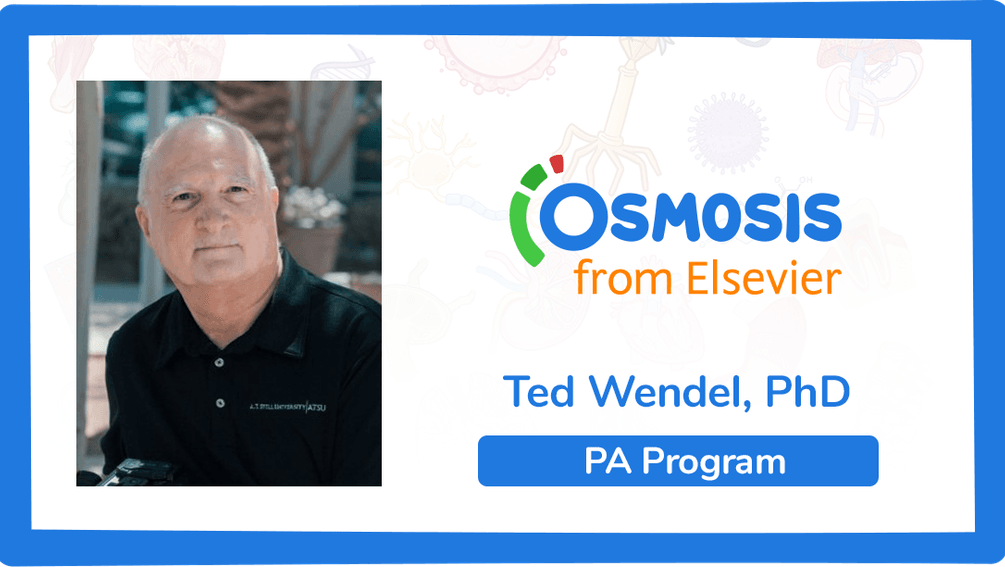 Medical Illustrated Video Explainers For Teaching Students | Osmosis