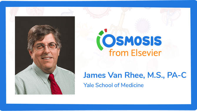 Medical Illustrated Video Explainers For Teaching Students | Osmosis