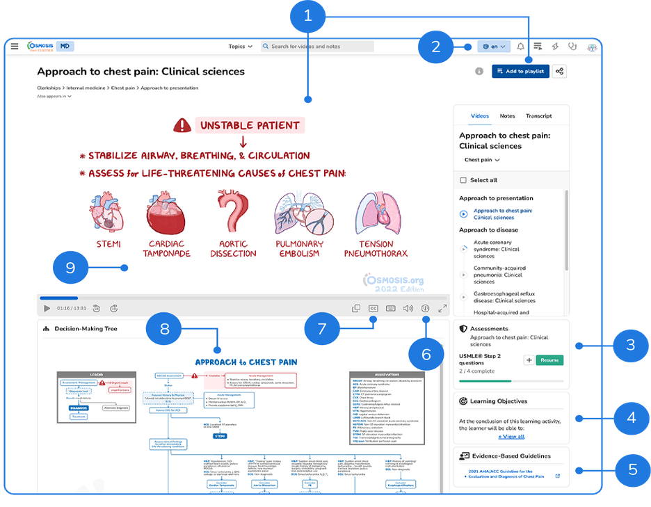 Medical Illustrated Video Explainers For Teaching Students | Osmosis