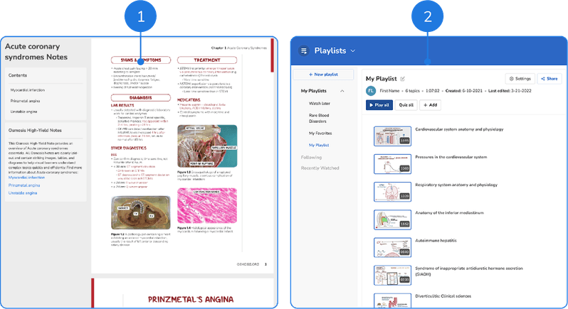 Medical Illustrated Video Explainers For Teaching Students | Osmosis