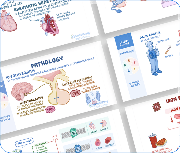 Registered Nursing Illustrated Video Explainers For Teaching Students ...