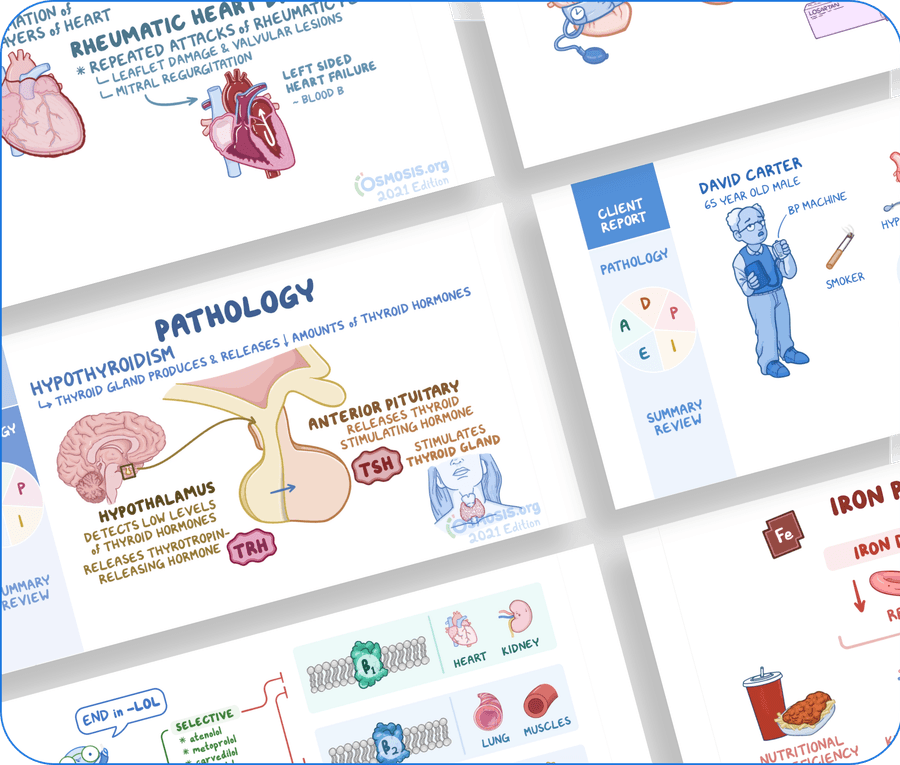Registered Nursing Illustrated Video Explainers For Teaching Students ...