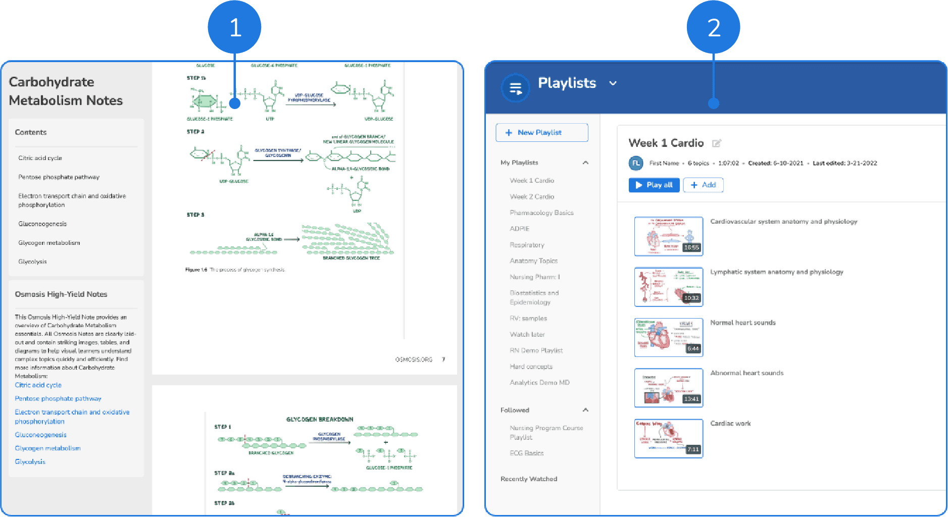 Registered Nursing Illustrated Video Explainers For Teaching Students ...