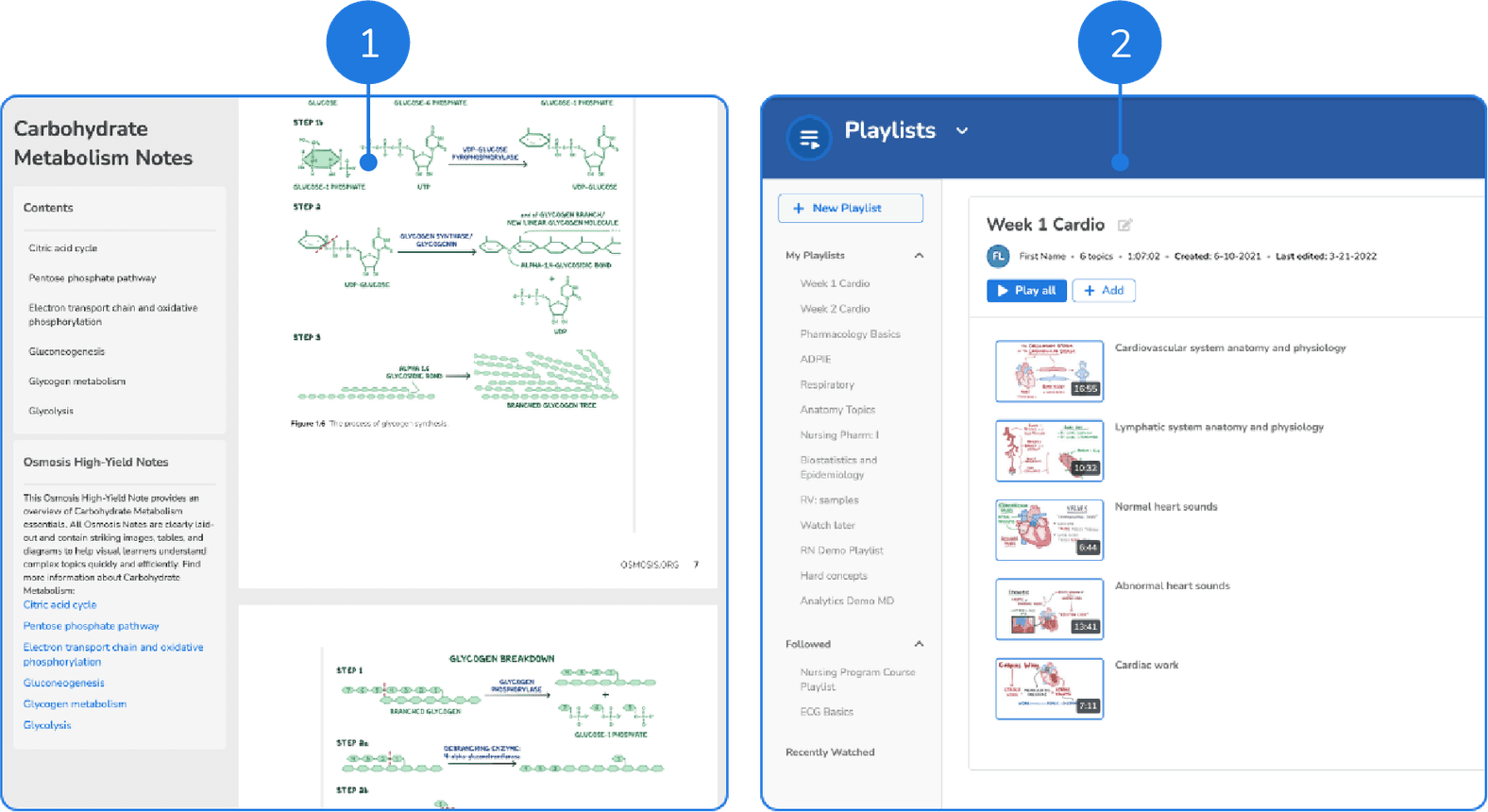 Registered Nursing Illustrated Video Explainers For Teaching Students