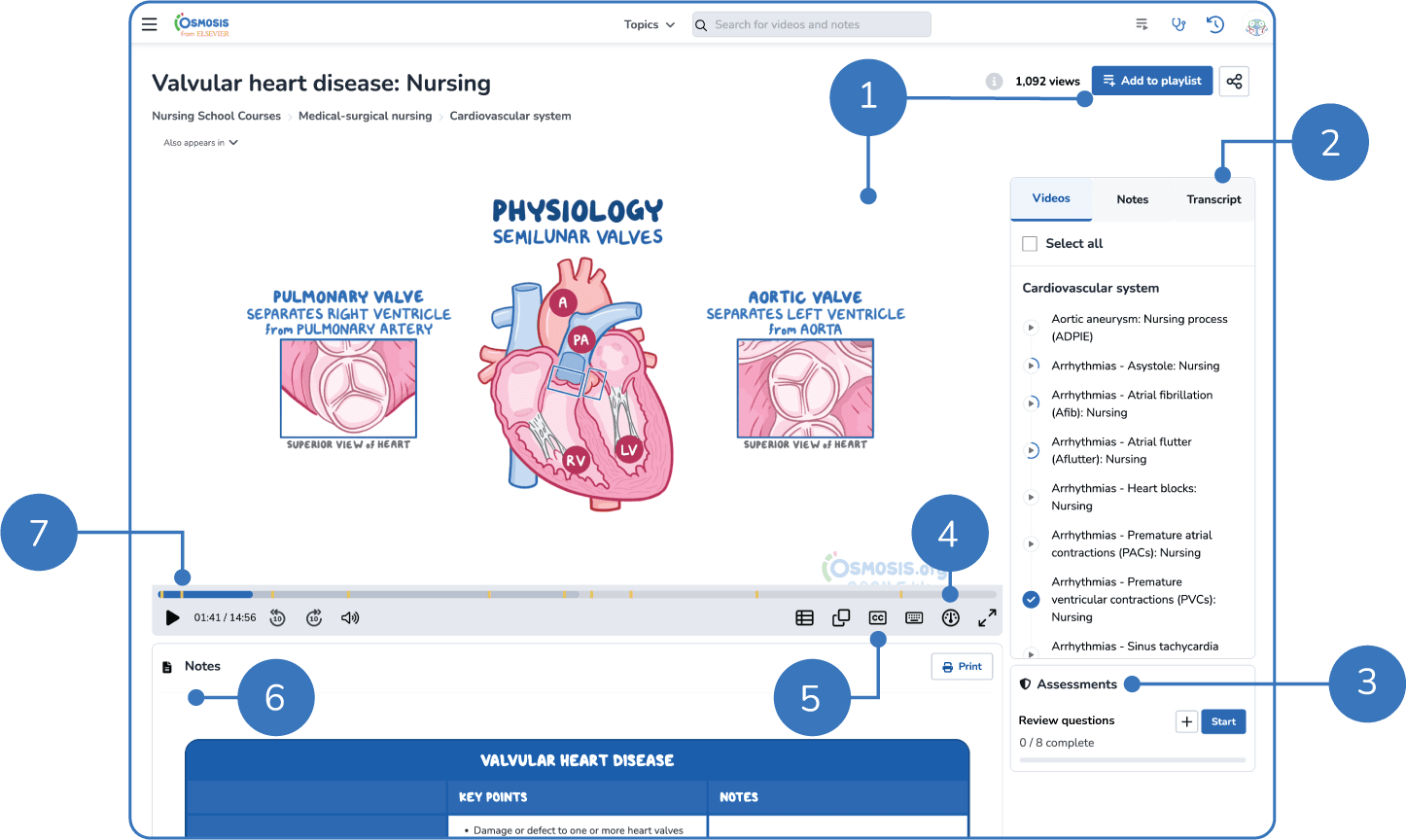 Registered Nursing Illustrated Video Explainers For Teaching Students ...