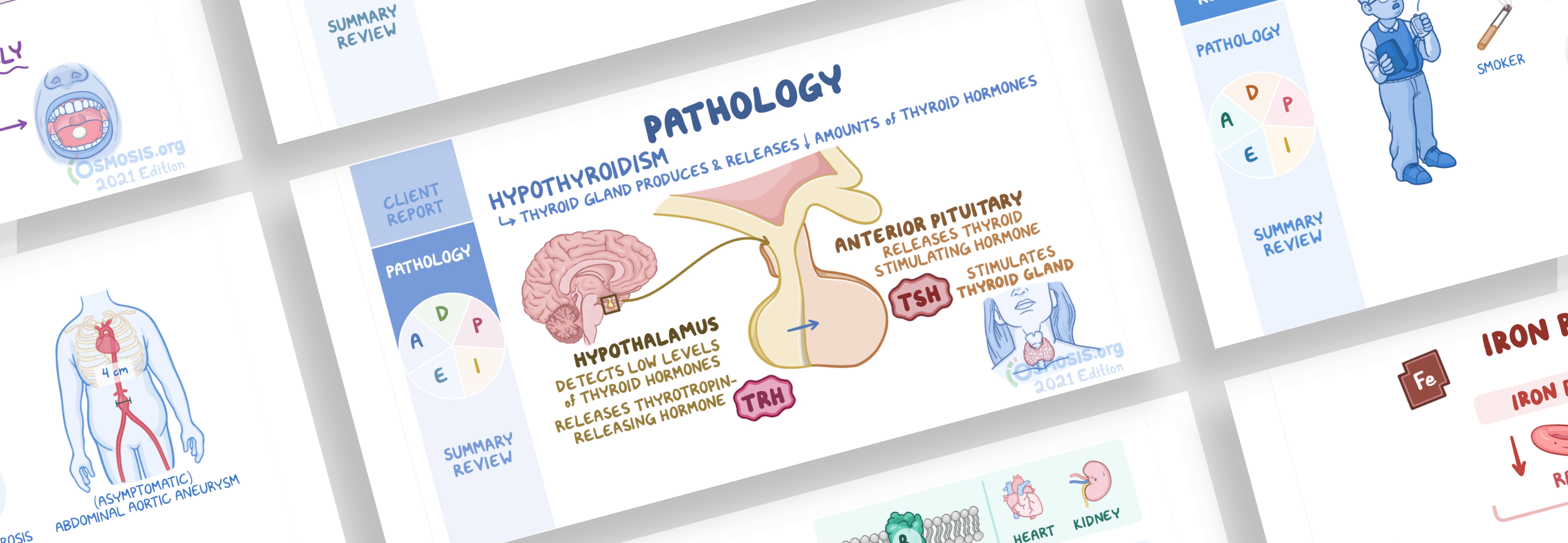 Registered Nursing Illustrated Video Explainers For Teaching Students ...