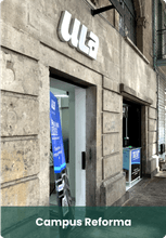 Estudia una materia cada 4 semanas